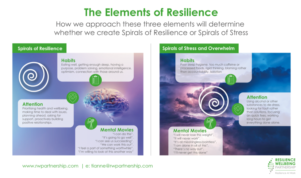 The Three Elements of Resilience - Resilience with Tianne Croshaw